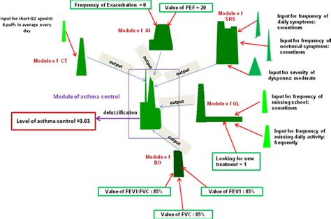 schematic views of inference engine in module of asthma control
