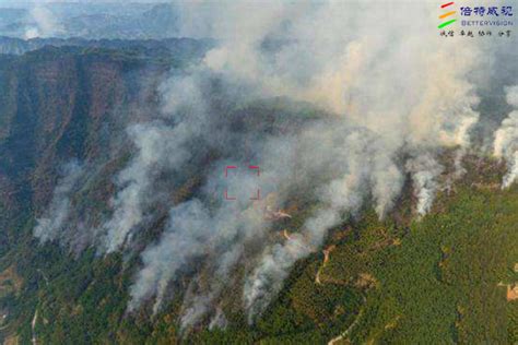 倍特威视森林火灾识别系统 武汉倍特威视系统有限公司