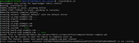 Windows Subsystem For Linux Docker Container Exit 1 Error When