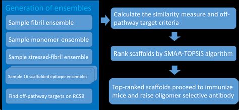 The Workflow Of In Silico Screening Download Scientific Diagram