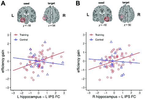 Hippocampal Parietal Functional Circuits Predict Number Sense Training Download Scientific