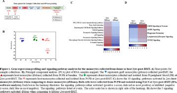 Differing Gene Expression Profiles And Signaling Pathways Between Circulating Donor And Host