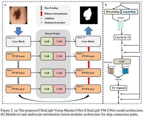 仅需0 049m和0 060gflops！上海高校最新提出 Ultralight Vm Unet 探索超轻量化mamba模型 极市开发者社区