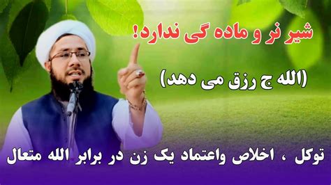 شیر نر وماده گی ندارد توکل ، اخلاص واعتماد یا زن در برابر الله متعال