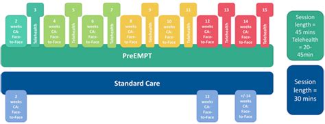 Preempt Preterm Infant Early Intervention For Movement And Participation Trial The