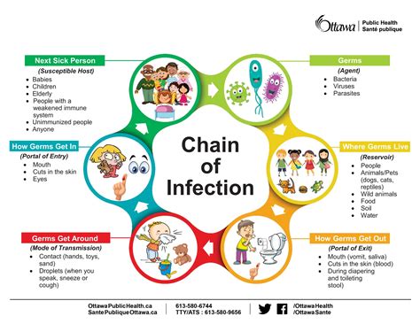 Chain Of Infection Is A Transmission Of Disease Ppt