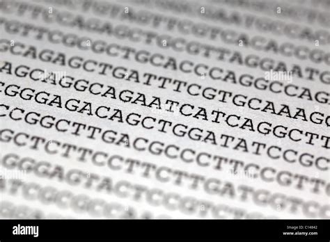 Sequence Of Gene Bases Hi Res Stock Photography And Images Alamy