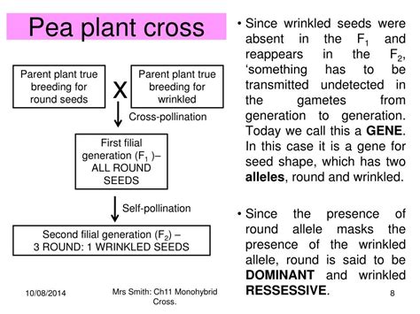 PPT Chapter Monohybrid Cross PowerPoint Presentation Free Download ID