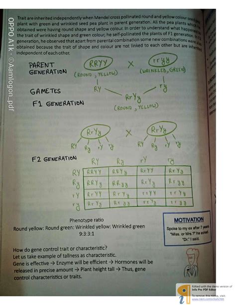 Bkp Cheat Sheet Science Class 10 Utkarsh Saxena Page 60 Flip Pdf Online Pubhtml5