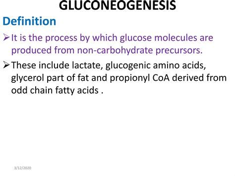 Gluconeogenesis Pptx