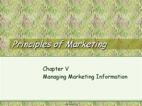 市场营销chap05 collecting information word文档在线阅读与下载 无忧文档