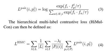 CVUse All The Labels A Hierarchical Multi Label Contrastive Learning Framework 知乎