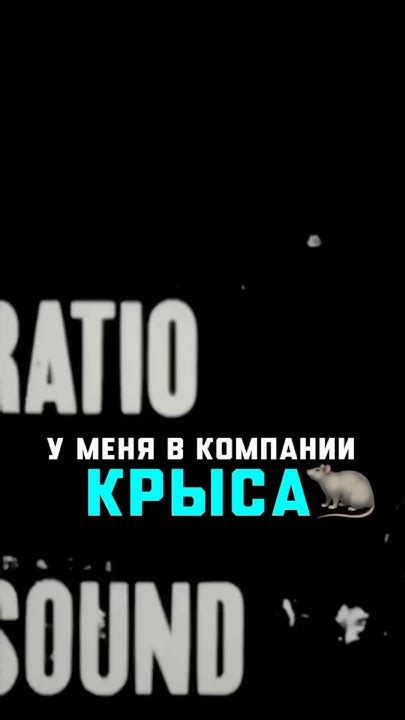 Крыса в коллективе как бороться Крыса на корабле Как найти сотрудника Youtube