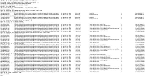 Backup And Restore Of ETCD Cluster State