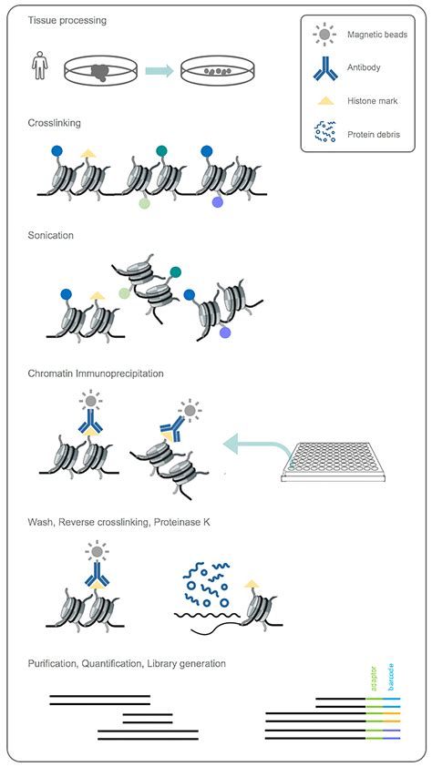 an integrated platform for genome wide mapping of chromatin states