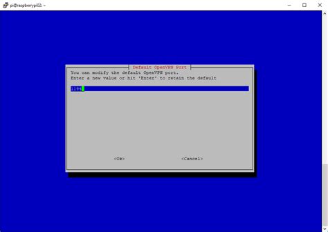 Raspberry Pi Als Vpn Server Techstream