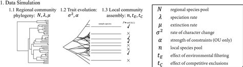 Identifying Models Of Trait‐mediated Community Assembly Using Random