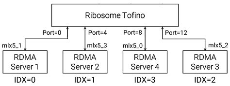 Github Ribosome Packet Processorribosome Rdma Server Agent Ribosome Rdma Server Agent Code