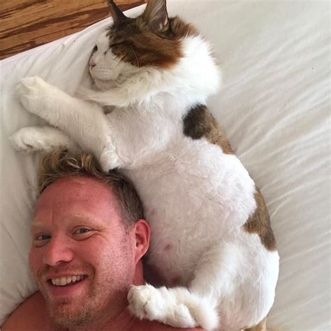 Literally Just 19 Pictures Of Very Big Fluffy Cats Cute Dog Collars