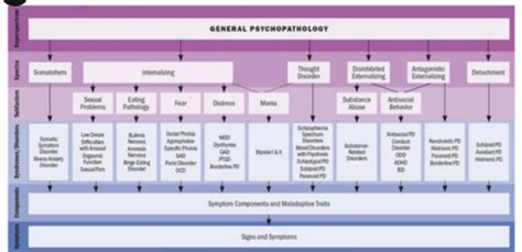 Lecture 2 Social Determinants Of Mental Health Flashcards Quizlet