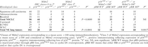 Relationship Between Mdm2 And P14 Arf Expression In Human Lung Tumors