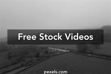 Kingdom Pussy Videos Download The Best Free 4k Stock Video Footage