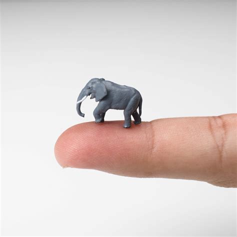Miniature Elephant