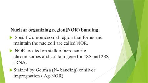Cytogenetics Cytogenetics Abnormalitypptx