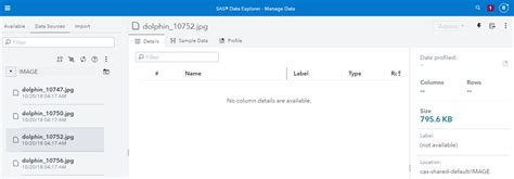 How To Load Images In Sas Viya 35