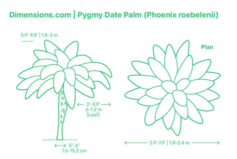 Dimensions Database Of Dimensioned Drawings