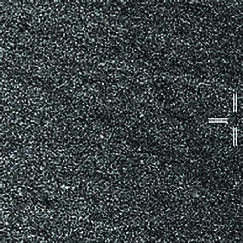Sidescan Sonar Record Of The Sinop F Shipwreck The Long Linear Download Scientific Diagram