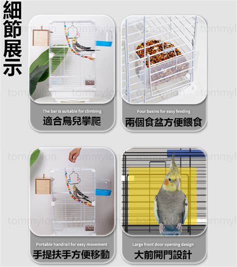 鳥籠 鸚鵡籠子 大型鳥籠 造型籠 寵物鳥 鸚鵡用 橫向鐵絲方鐵籠 觀賞用 展示籠 外出籠 虎皮牡丹玄鳳繡眼 可diy 蝦皮購物
