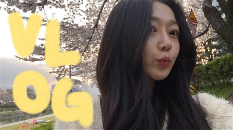 벚꽃 막차 브이로그🌸 Youtube