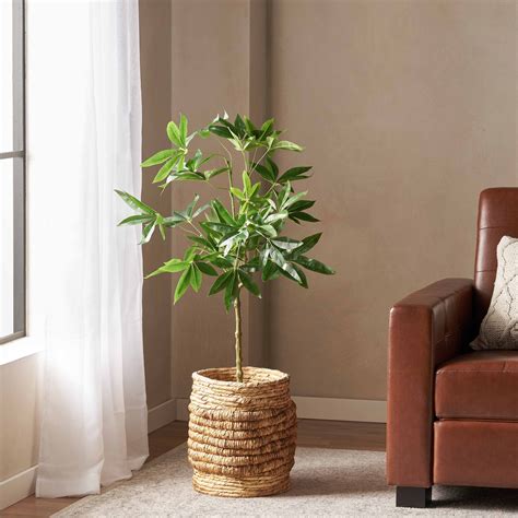 120cm Artificial Pachira Macrocarpa