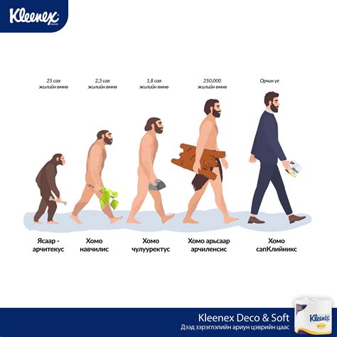 Хүн төрөлхтний хувьслын үе шат 📈 Kleenex Mongolia