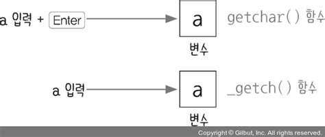 코딩 자율학습 나도코딩의 C 언어 입문 1041 비밀번호 입력받기
