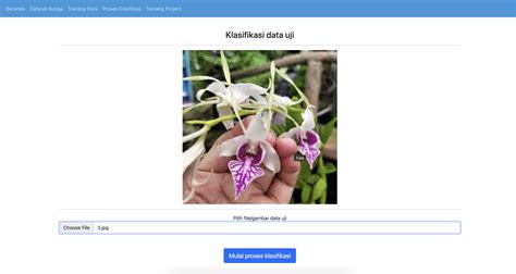 Github Haxorsprogrammingklasifikasi Bunga Anggrek Cnn Aplikasi Klasifikasi Bunga Menggunakan