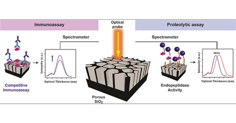 Botulinum Neurotoxin C Dual Detection Through Immunological Recognition And Endopeptidase