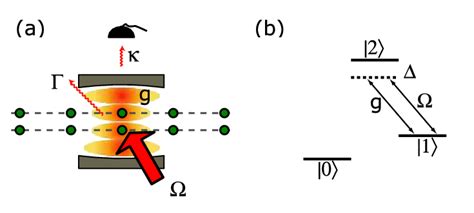 Colour Online A Experimental Setup For The Cluster State Growth Of