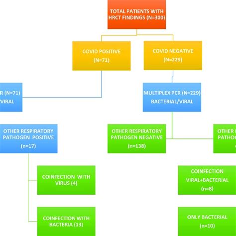a schematic representation of the workflow download scientific diagram