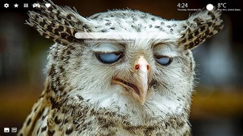 8 Best Fun Chrome Extensions Softonic