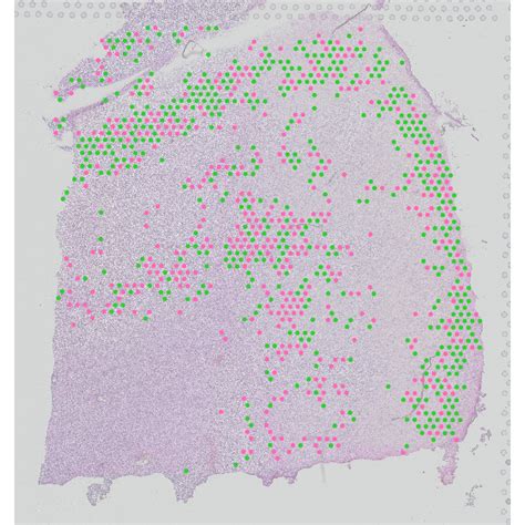 Applying Mcube To The Dlpfc Data — Mcube 01 Documentation
