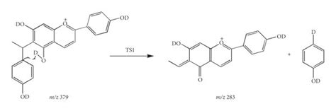 Proposed Fragmentation Pathways For Deuterated Fragmented Ions Of
