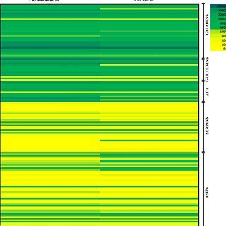 Heat Map Representing Expression Of Transcripts Coding For IPs