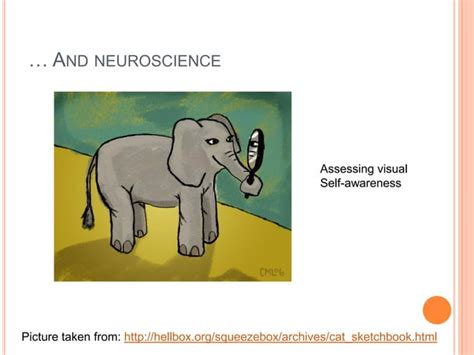 Conceptual Map And Classification In Ensembles Of Autonomic Components