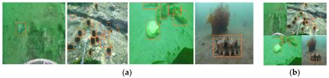 Underwater Object Detection Method Based On Improved Faster Rcnn