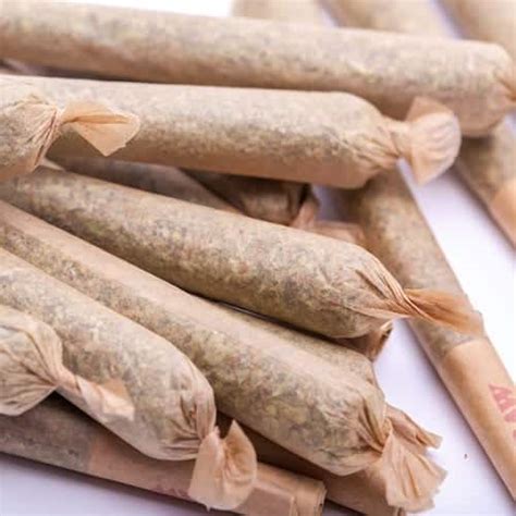 Come On How High Can A Person Really Get The Social Weed