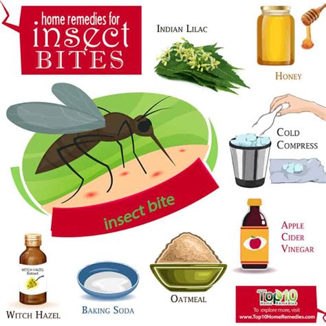 Insect Bite Treatment Human At Ben Birtwistle Blog