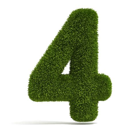 50 Fotos Bilder Und Lizenzfreie Bilder Zu Grass Number Number 4 Three