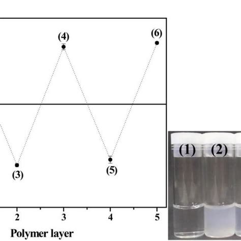 A Schematic Representation Of Cationic Ch B ζ Potential Values As Download Scientific